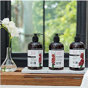 ApotheCARE Essentials The Booster Conditioner Rosehip Oil, Geranium, Aloe Vera 12 oz