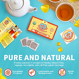 Caffeine Free Red Rooibos Tea Bags 40 - Naturally Sweet Herbal Tea Safe for Children and Pregnant Women - Low Tannin, Premium Organic Rooibos Tea Sustainably and Ethically Farmed in South Africa