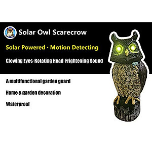 Owlery Solar Owl with Flashing Eyes, Spinning Head and Realistic Tweets, Plastic Owl Decoration for Home, Garden, Patio and Fence
