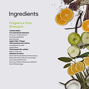 Phillip Adam Fragrance Free Shampoo - Sulfate Free and Paraben Free - Balances pH of Hair and Scalp - 12 Ounce