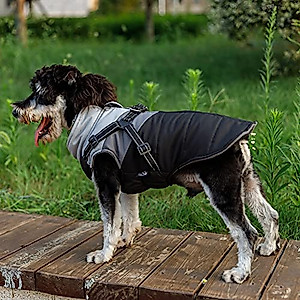 Gyuzh Padded Vest Dog Jacket Warm Zip Up Dog Vest Jacket with Harness Winter Small Dog Coat - Dog Clothes for Small Dogs (Black + Grey, Medium)