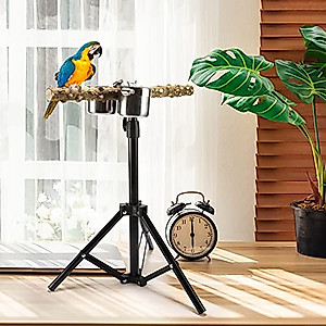 Adjustable Height Bird Perch Stand 43 INCH Parrot Training Perches Metal Bird Play Stand with Feeding Bowls for Small Birds Indoor and Outdoor