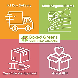 Boxed Greens 20lbs Organic Fruit Gift Basket - Box Includes Bananas, Apples, Oranges, Pears, Kiwis, Berries, Lemons, Limes, Pineapple - Great Gift for Family, Friends, & Coworkers - Fresh Fruit Assortment