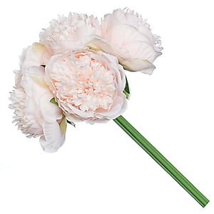 Royal Imports Peony Flowers Vintage Artificial Silk 5 Single Stems for Bouquet, Home Decoration, Wedding Centerpiece, Wreaths, Floral Arrangements (5 Stems, Light Pink)