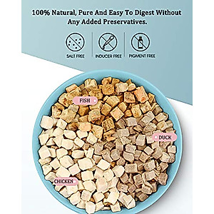 BNYEE 3 in 1 Meat Turtle Food - Chicken & Duck & Fish Meat Natural Freeze Dried Human-Grade Turtle Treats