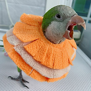 Bird Collar Anti Bite Elizabethan Recovery Cone, Bird Neck Protector for Feather Plucking, Bird Neckwear Full Body Shield for Parakeet Color Randomly (Cockatiel)