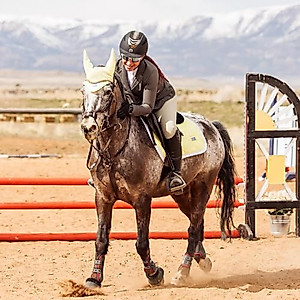 HR Farm Women's Full Seat Silicone Grip Breeches Horse Riding Jodhpurs (1 Beige, 26)