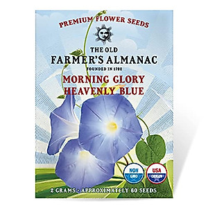 The Old Farmer's Almanac Morning Glory Seeds (Heavenly Blue) - Approx 50 Flower Seeds - Premium Non-GMO, Open Pollinated, USA Origin