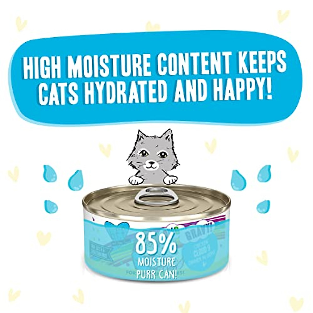 Weruva B.F.F. OMG - Best Feline Friend Oh My Gravy!, Chicken Cloud 9 with Chicken in Gravy, 5.5oz Can (Pack of 8)