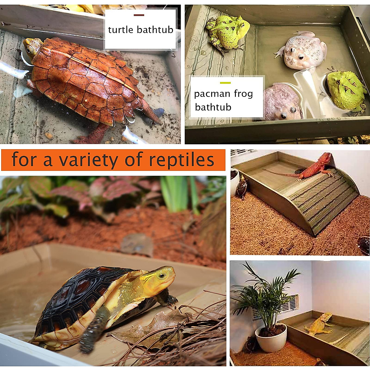 3pcs Tortoise Food Dish with Ramp and Basking Platform Leaf Tortoise Water Food Bowls Reptile Water Dish Turtle Reptile Pool for Amphibians Gray