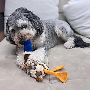 SPOT Skinneeez Plus Duck - Stuffing Free Dog Toy with Two Piece Rubber Body and Two Squeakers, Fun to Bite, Stuffingless Design is Great for Moderate Chewers, Tug Toy for Puppies & Dogs - 15in