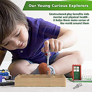 Panda Brothers Montessori Screwdriver Board Set - Wooden Montessori Toys for 3 4 5 Year Old Kids and Toddlers, Learning Sensory Bin Toys Preschool Materials, Fine Motor Skills Toys, Waldorf STEM Toys