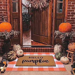 Fall Decor Doormat Combo Set, 100% Coco Coir Welcome Mat + 28 x 43 Inches Orange and White Plaid Rug - Fall Thanksgiving Front Porch Entryway Decor Floor Mat, Indoor Outdoors Autumn Mats Hello Pumpkin