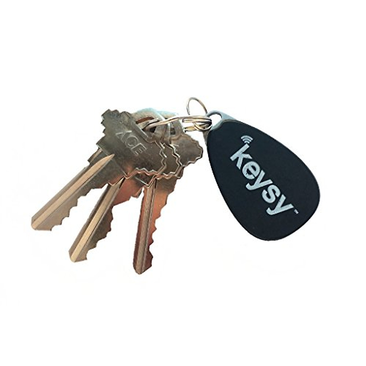 Keysy Rewritable RFID Key Fobs (5-Pack, Black)