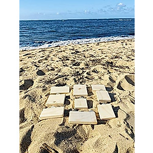 10 Piece Kiln Dried Pine Wood Ledges, Platfrom, Steps for Chinchillas, Rats, Birds and Caged Critters. Chinchilla Cage Accessories.