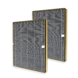 PUREBURG Replacement True HEPA Filter Compatible with TaoTronics TT-AP002 and VAVA VA-EE008 Air Purifiers, H13 High-efficiency Activated carbon True HEPA 2-IN-1 Air Clean VOC Dust,2-Pack