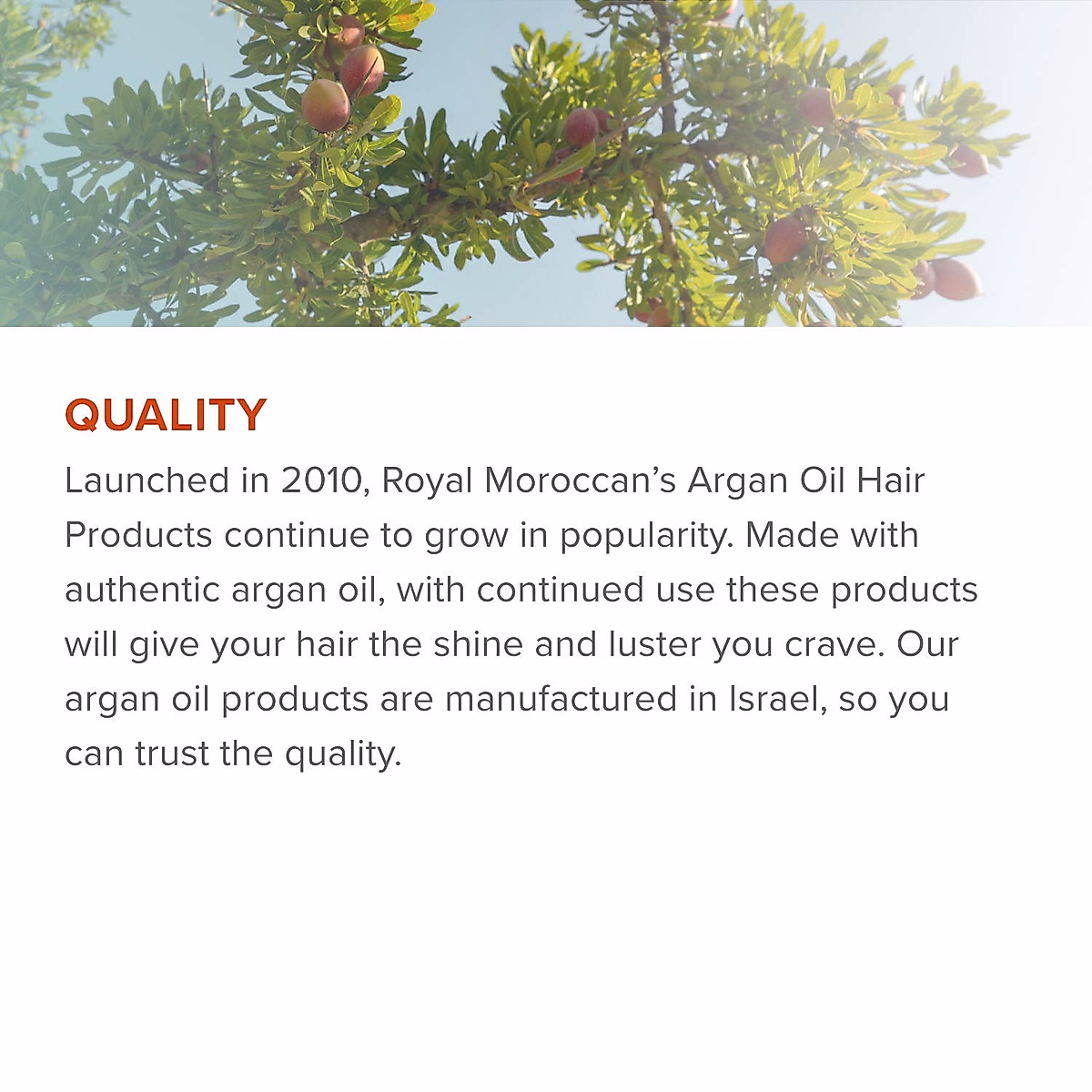 Royal Moroccan Sulfate Free Shampoo | Argan Oil Shampoo | Shampoo for Color Treated Hair | Moisturizing Shampoo Argan Oil Hair Products (500 ml 16.9 oz)