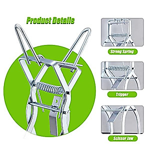 2PACK Mole Trap Steel Gopher for Lawn Outdoor Gopher Garden Farm