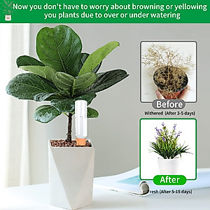 Baxrou Plant Self Watering Stakes 12 Pack Terracotta Watering Spikes for Indoor and Outdoor Plants,Wine Bottle Plant Watering Devices, Automatic Plant Waterers for Vacation