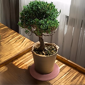 LapWorks 12 inch Rotating Plant Swivel Stand and Bonsai Turntable - Heavy-Duty Lazy Susan Base for Indoor & Outdoor Potted Plants, Gardening, and Sunlight Management (Tuscan Terra Cotta)