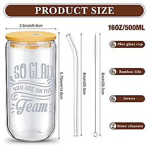 Purpeak 6 Set Employee Appreciation Gifts Thank You Gifts for Staff Coworker Thank You Glass Cups 16 oz Can Shaped Beer Glass with Lids Straws Brushes for Team Teacher Nurse(Inspirational Style)