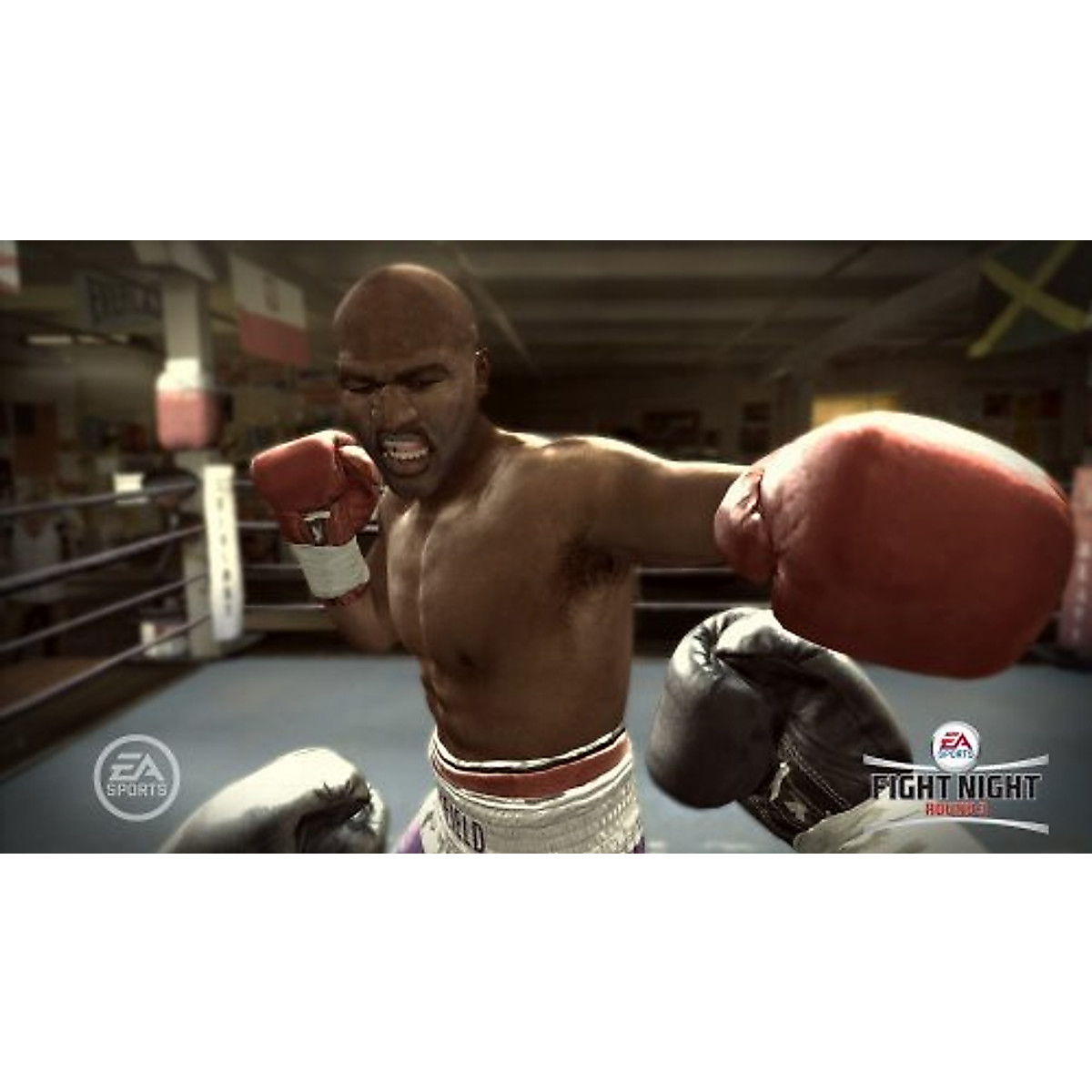 Fight Night Round 3 - Xbox 360 (Renewed)