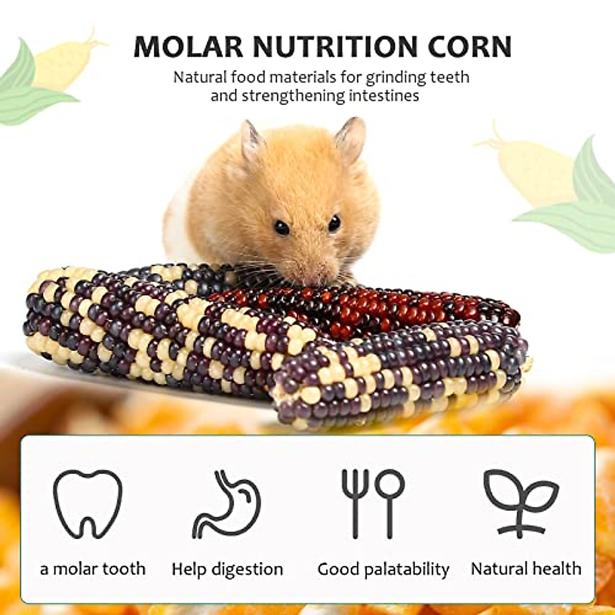 X-pet Hamster Treats and Chinchilla Chew Toys, 100% Natural Corn Suitable for Guinea Pig, Parrot,Bird and Other Small Animals