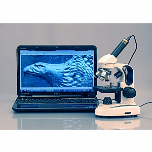 AmScope M158C-2L-PB10-WM Cordless Compound Monocular Microscope, WF10x and WF25x Eyepieces, 40x-1000x Magnification, Upper and Lower LED Illumination with Rheostat, Brightfield, Single-Lens Condenser, Coaxial Coarse and Fine Focus, Plain Stage, 110V or Ba
