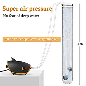 HITOP 110GPH Powerful Aquarium Air Pump: Qiuet 2-outlets Aquarium Aerator, Adjustable Fish Tank Air Pump with Accessories, for 20-200 Gallon Tank