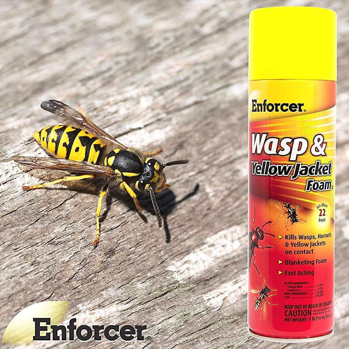 Enforcer Wasp & Yellow Jacket Foam V - 16 oz (Case of 12) - FWH16 - Kills Wasps, Hornets and Yellow Jackets