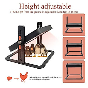 HHNIULI Chick Brooder Heater Chick Heating Plate 11 x 11 Inch Poultry Brooder Heater with Adjustable Height for Chicks and Ducklings Warms Up to 15 Chicks for Chicken Coop