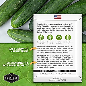 Survival Garden Seeds - Straight Eight Cucumber Seed for Planting - Packet with Instructions to Plant and Grow Pickling and Slicing Cucumbers in Your Home Vegetable Garden - Non-GMO Heirloom Variety