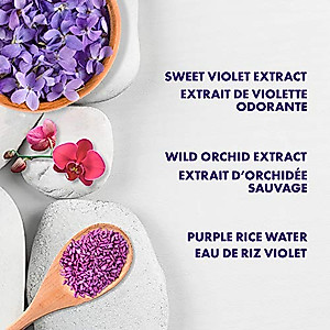 SheaMoisture Strength + Color Care Conditioner Purple Rice Water 13 oz