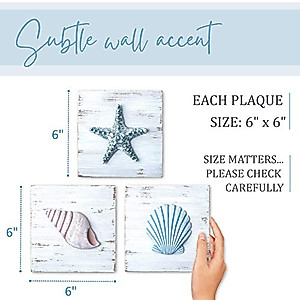 TideAndTales 3D Seashell Art - Set of 3, 6”x6” Beach Wall Decor for Bathroom, Hand-Painted Rustic Shells and Starfish, Ocean Theme Coastal Decorations for Home or Beach House
