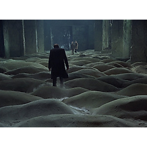 Stalker (The Criterion Collection) [Blu-ray]