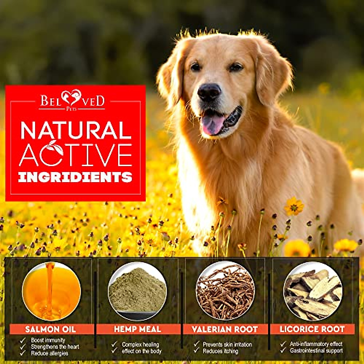Dog Anti Itch & Allergy Relief Chews - Dry Itchy Skin & Hot Spot Treatment with Probiotic, Omega 3 Oil, Hemp - Immune Supplement & Seasonal Allergies Medicine for Dogs, Puppy - 140 Bites Made in USA