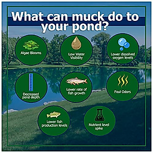Muck Remover Pellets 5 lb (10 Scoops) | Pond Tablets Treat 1.25 Acres | Lake Muck Remover, Pond Sludge Reducer | Farm Pond Treatment