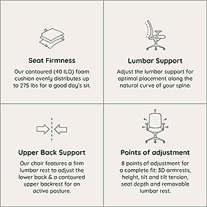 Branch Ergonomic Chair - A Versatile Desk Chair with Adjustable Lumbar Support, Breathable Mesh Backrest, and Smooth Wheels - Experience Optimal Comfort and Support - Pebble - White