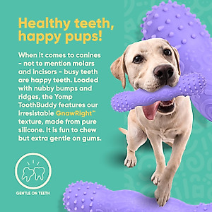 Yomp ToothBuddy Dog Dental Chew Toy - Dog Teething Toy for Soft & Medium Chewers - Dog Toy Bone - Chewing Toy for Dogs - Pet-Safe, Non-Toxic Silicone Dog Toy