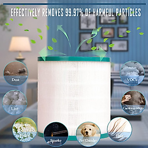 Air Purifier Filters Replacements,True HEPA Premium Grade Filters for Dyson Tower Purifier Pure Cool Link TP01,TP02,TP03,AM11,BP01 Models,Compare to Part # 968126-03 2-PACK