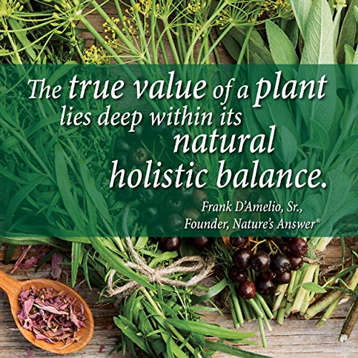 Nature's Answer Vitex Agnus-Castus Chastetree Berry 40mg 90-Capsules | Female Support Supplement | Glute-Free | Non-GMO | Vegan | Single Count