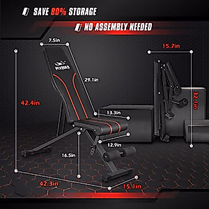 FLYBIRD Adjustable Bench,Utility Weight Bench for Full Body Workout- Multi-Purpose Foldable Incline Bench (Black)