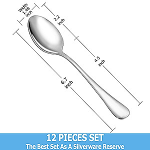 12 Piece Teaspoons Set,Food Grade 18/10 Stainless Steel Tea Spoons,Durable Small Spoons,Metal Dessert Spoon,Spoons Silverware for Home,Kitchen or Restaurant,Mirror Polished & Dishwasher Safe,6.7-Inch