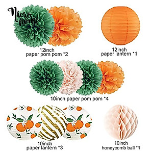 NICROHOME Little Cutie Baby Shower Decorations, 12 PCS Orange Green Tissue Pom Poms Citrus Paper Lanterns Confetti 50G for Summer Party, Birthday, Fruit Party