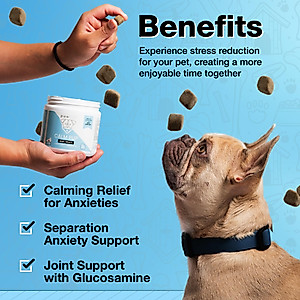 pawlife Hemp Dog Calming Chews - Anxiety Relief Treats, 60 Calming Treats for Dogs, Organic Calm Pup Dog Anxiety Relief, Calming Care for Dogs (Duck Flavor)