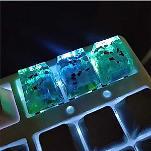 Resin Keycaps, Handmade Resin Keycap Koi Fish Backlit Resin Spacebar Keycap for Cherry MX RGB Switch Gaming Mechanical Keyboards DIY Replace