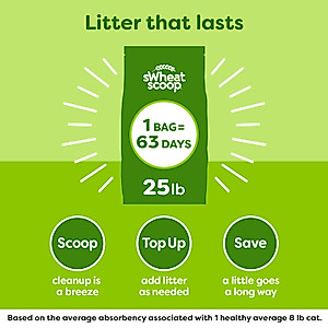 sWheat Scoop Natural Wheat Multi-Cat Litter, Superior Clumping with Odor Neutralizing Enzymes, 25 Pound Bag