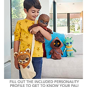 Mattel Star Wars Galactic Pals Plush Toy, Ewok 11-inch Soft Doll Set with Carrier & Personality Profile Card for Personalized Experience