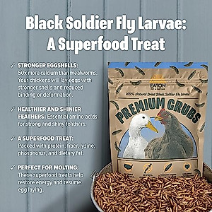 Eaton Pet & Pasture, USA Premium Dried Black Soldier Fly Larvae 1 LB, High Calcium Treat for Chickens, Ducks, Wild Birds