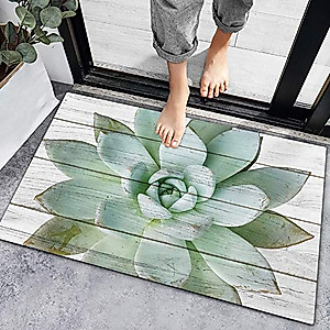 Indoor Doormat Absorbent Bath Rugs Entrance Non Slip Front Door Mat Spring Green Cactus Farm Board Kitchen Carpets Aesthetic Succulent Plants Floor Mats for Bathroom Bedroom Living Room Decor 16x24In